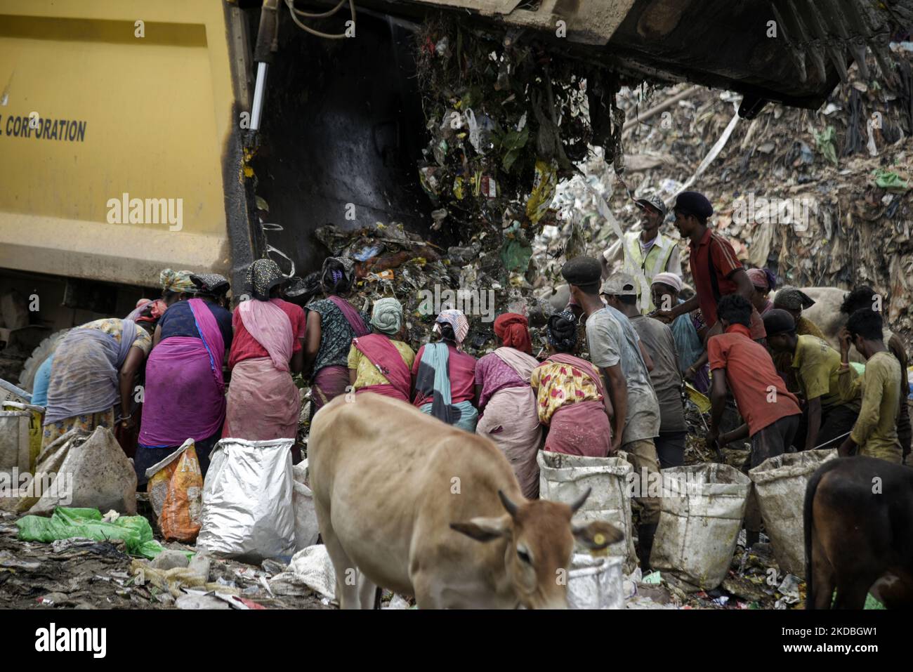 Municipality truck unloads garbage as rag pickers searches for ...