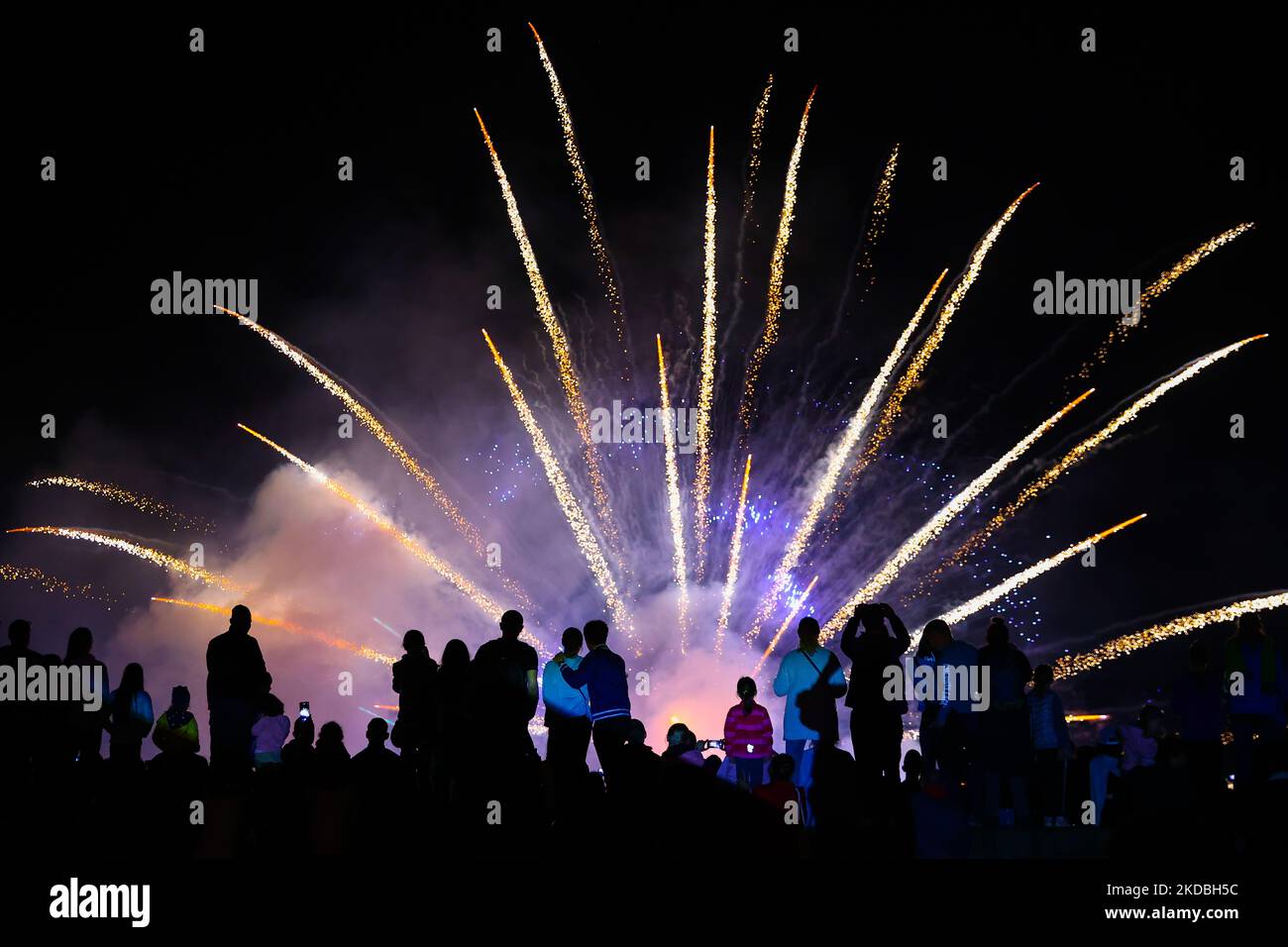 People are watching fireworks during the 21st Great Dragon Parade in ...