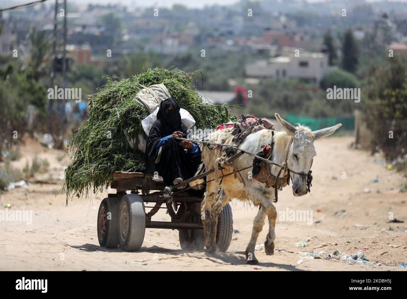 A farmer leads a donkey-drawn cart past the gate of the Erez crossing ...