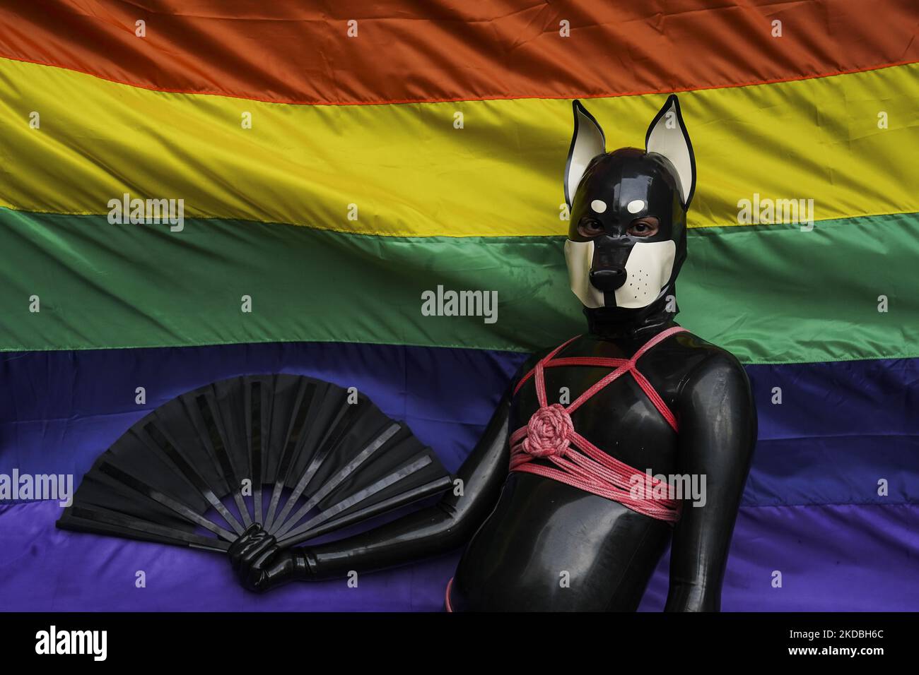A Thai member of LGBT community takes part in parade to mark pride day 2022 in Bangkok, Thailand ...