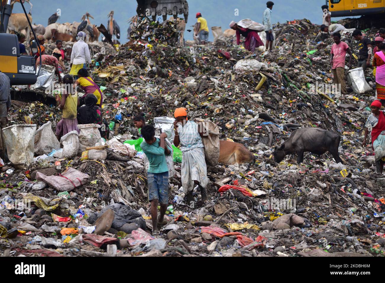 Ragpicker look for recyclable material at the Boragaon garbage dumping ...
