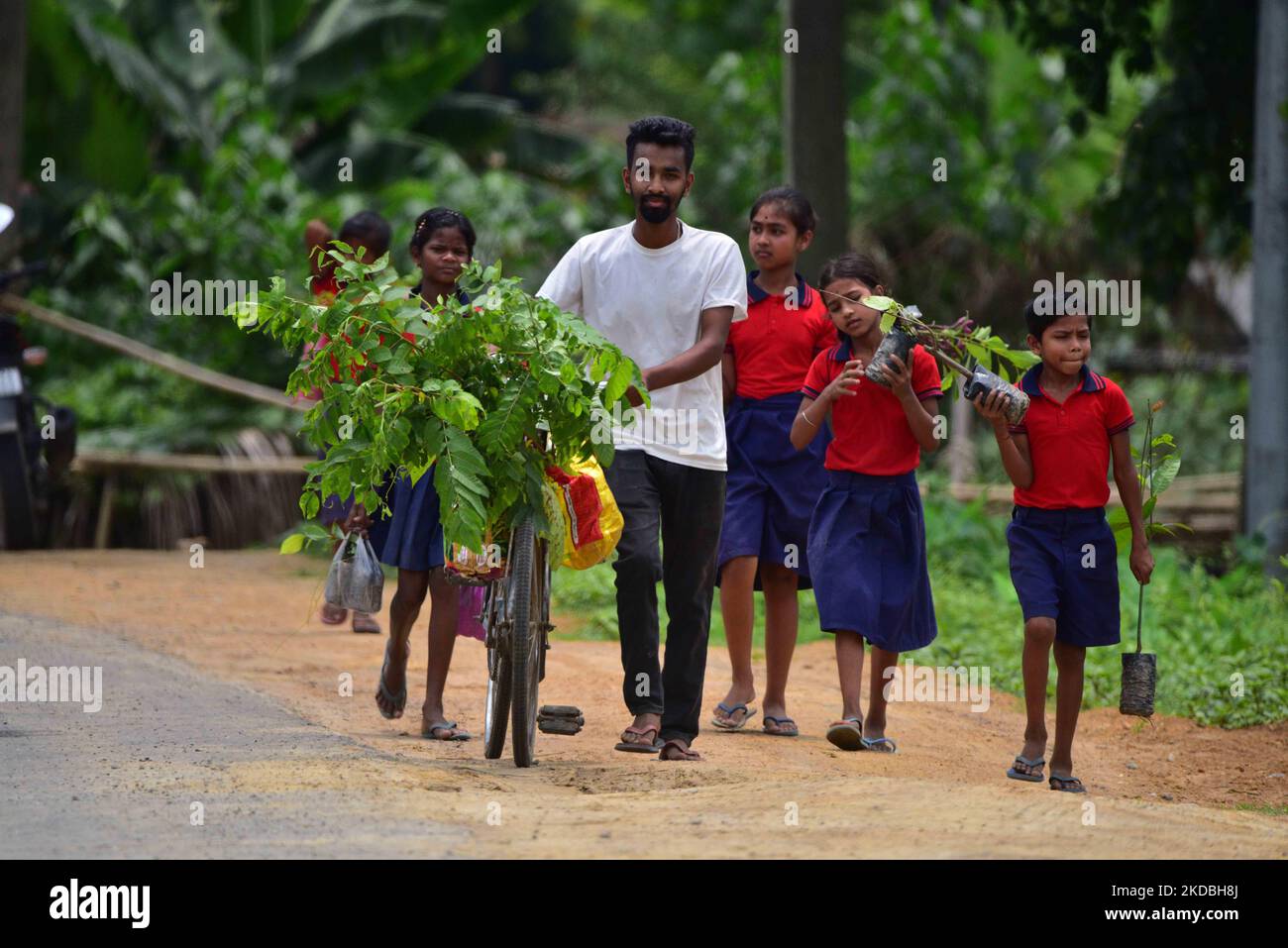 Indian school students carry tree sapling to plant their school on the ...