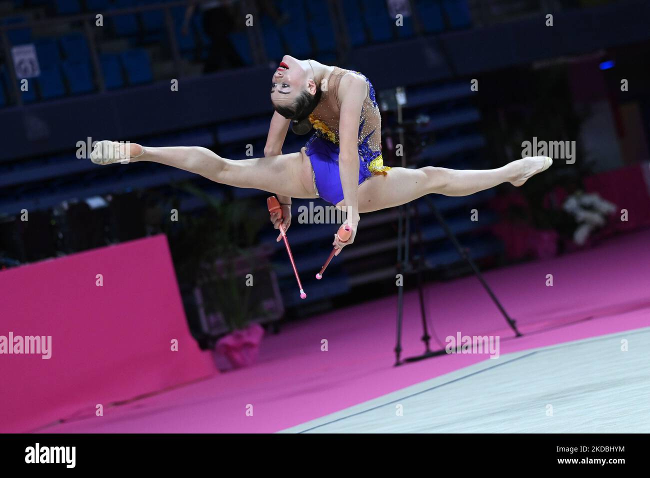 Michel Vivier (CAN) during the Gymnastics Rhythmic Gymnastics FIG World ...