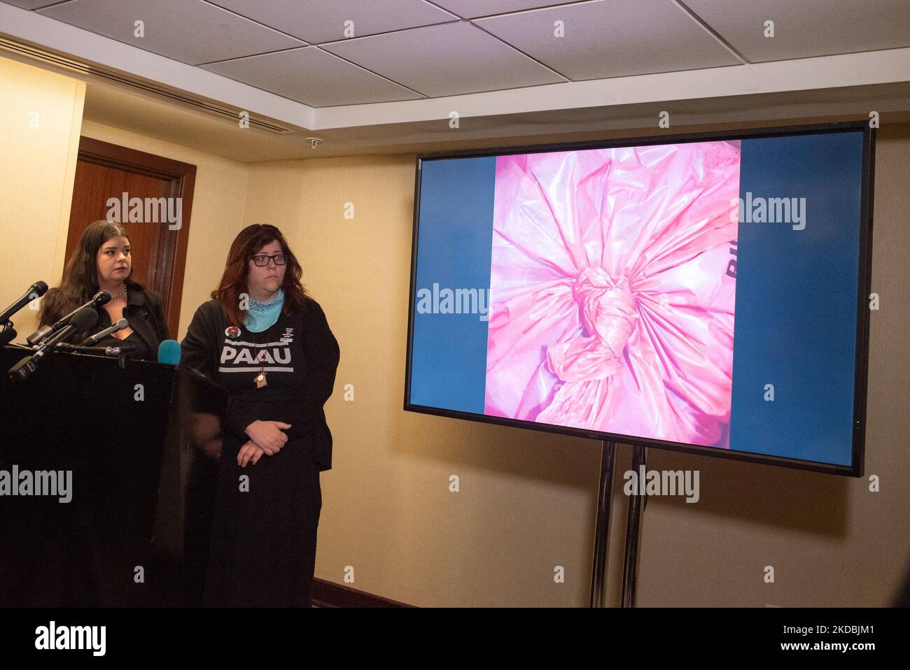 Fetuses hi-res stock photography and images - Alamy