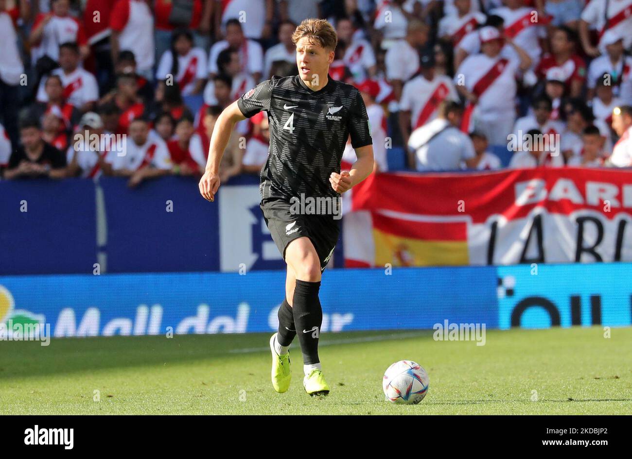 Nando pijnaker hi-res stock photography and images - Alamy