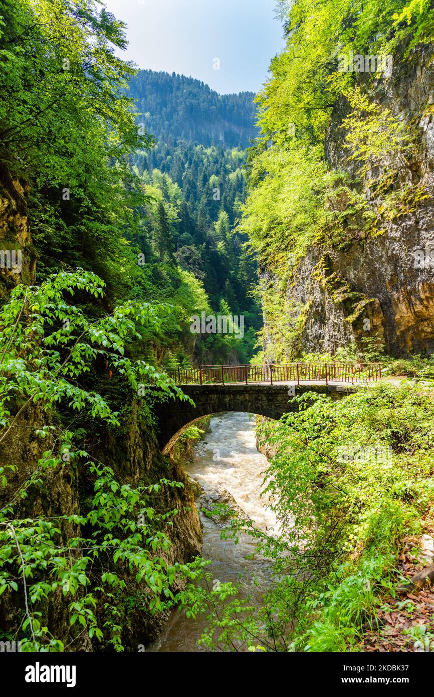 small road true mountains in spring and river Stock Photo - Alamy