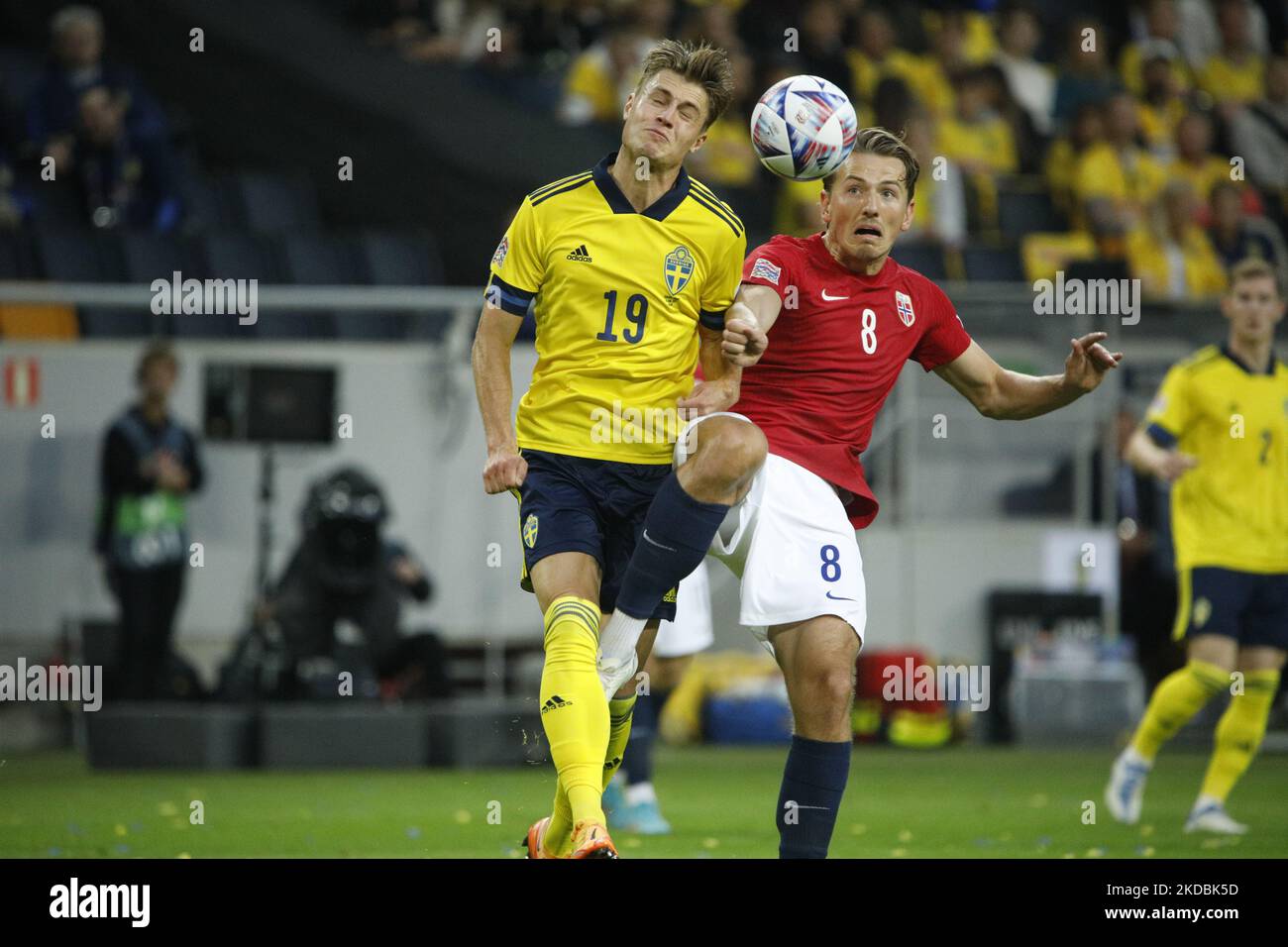 Sander berger hi-res stock photography and images - Alamy