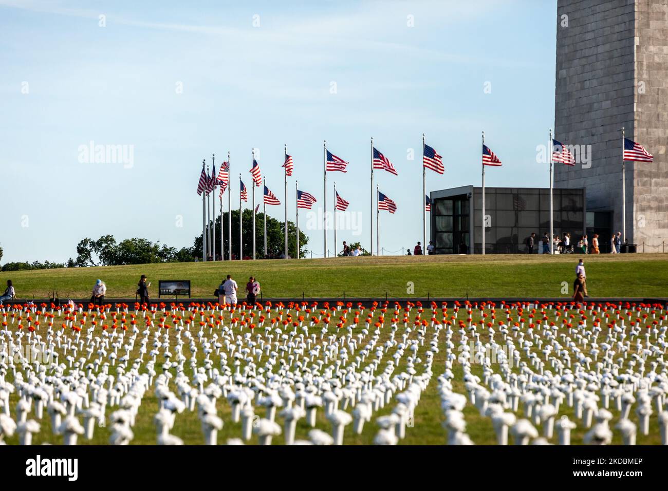 45,222 flower bouquets - one for each person killed by gun violence in ...