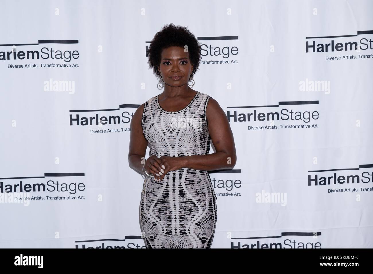 LaChanze attends the Harlem Stage Annual Gala - New York, NY on June 6 ...