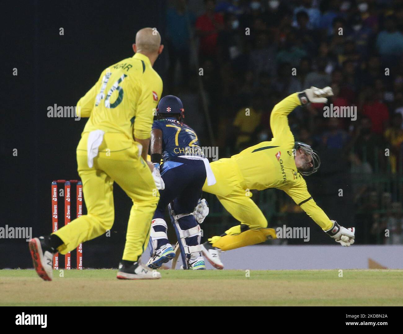 Australian international cricket player hi-res stock photography and ...
