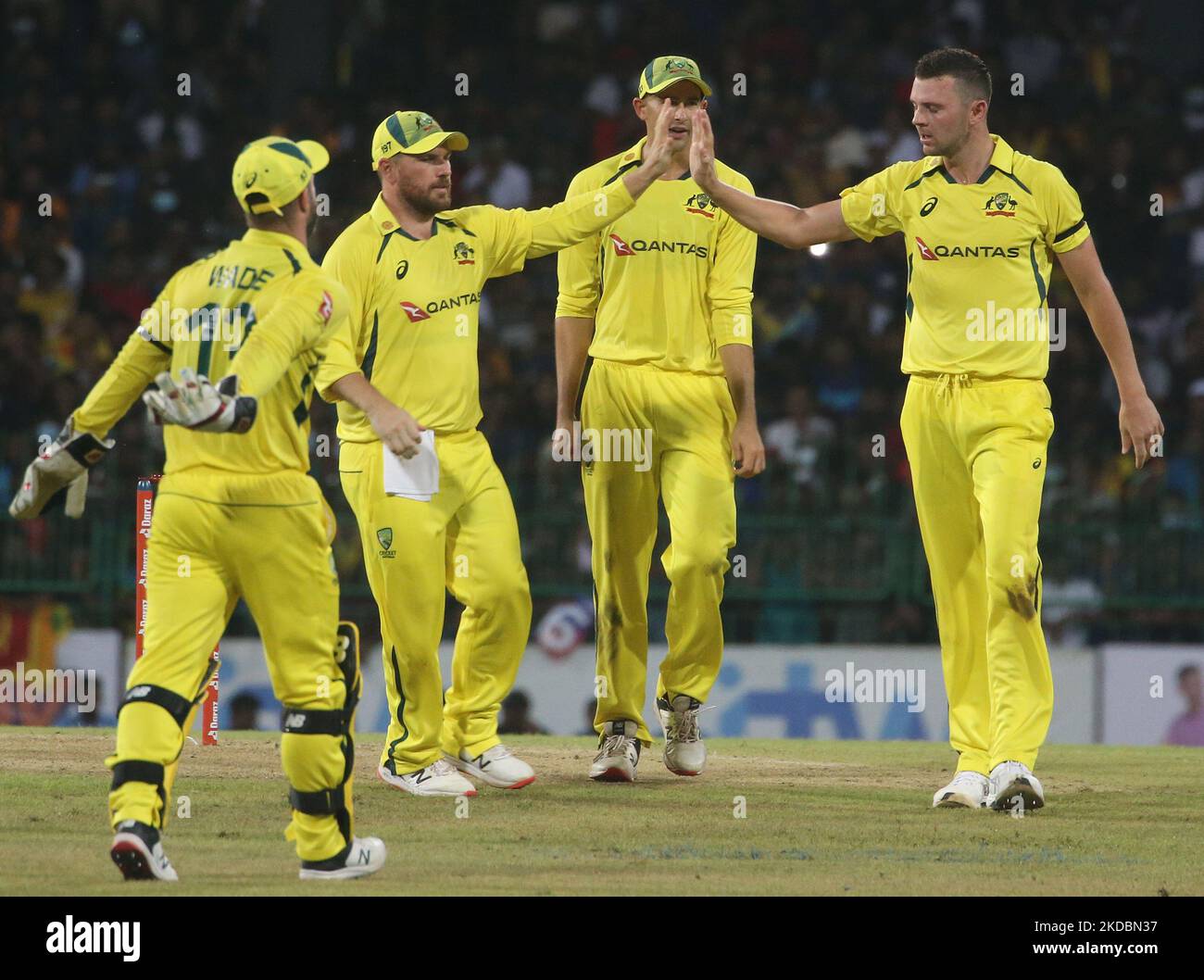 Australians celebrate after the dismissal of a Sri Lankan player during ...