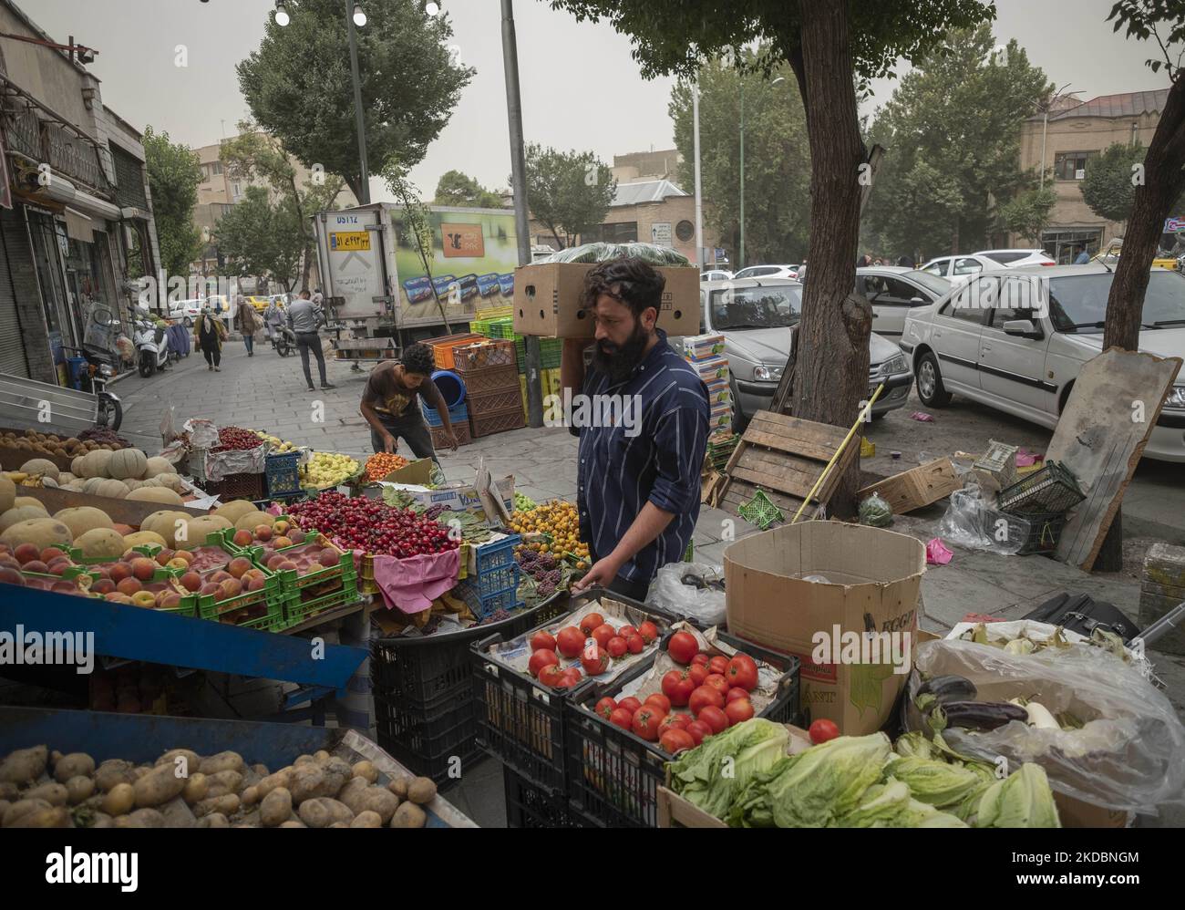 An Iranian fruiterer carries a box of cucumbers to his fruit and ...