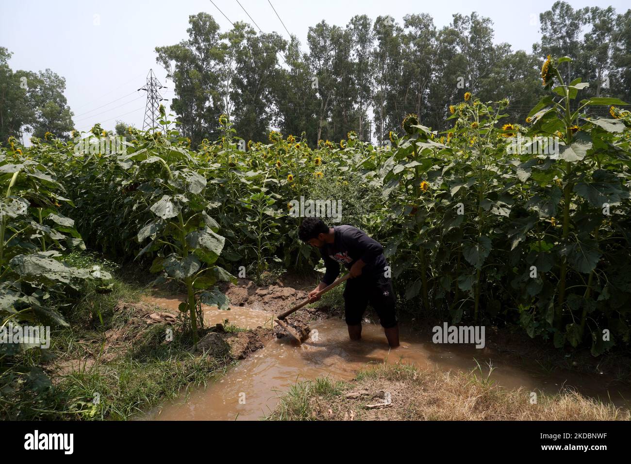 Russia oil exports india hi-res stock photography and images - Alamy