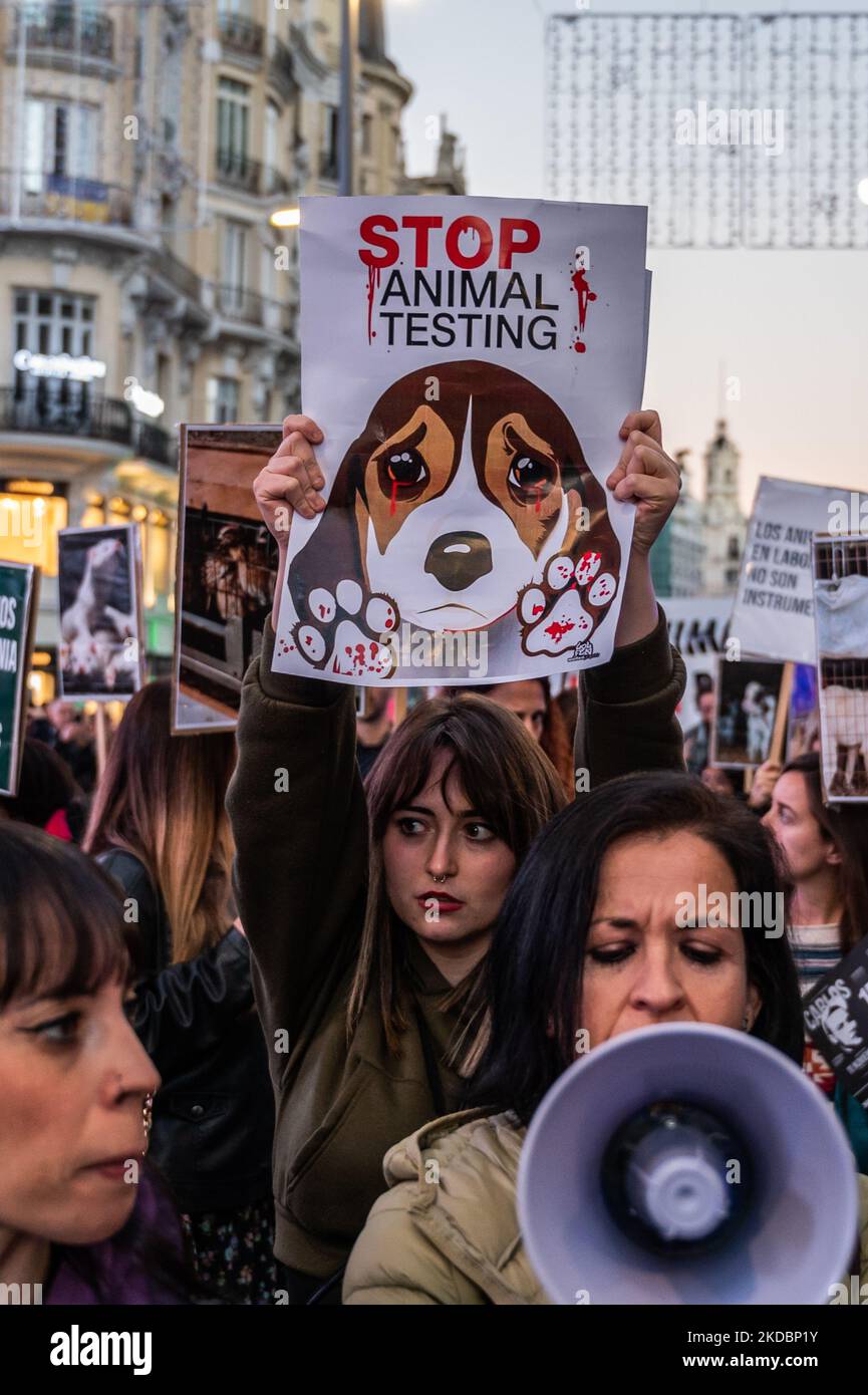 Against animal testing hi-res stock photography and images - Alamy