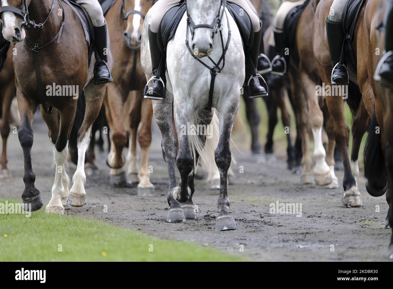 Hawick mair hi-res stock photography and images - Alamy