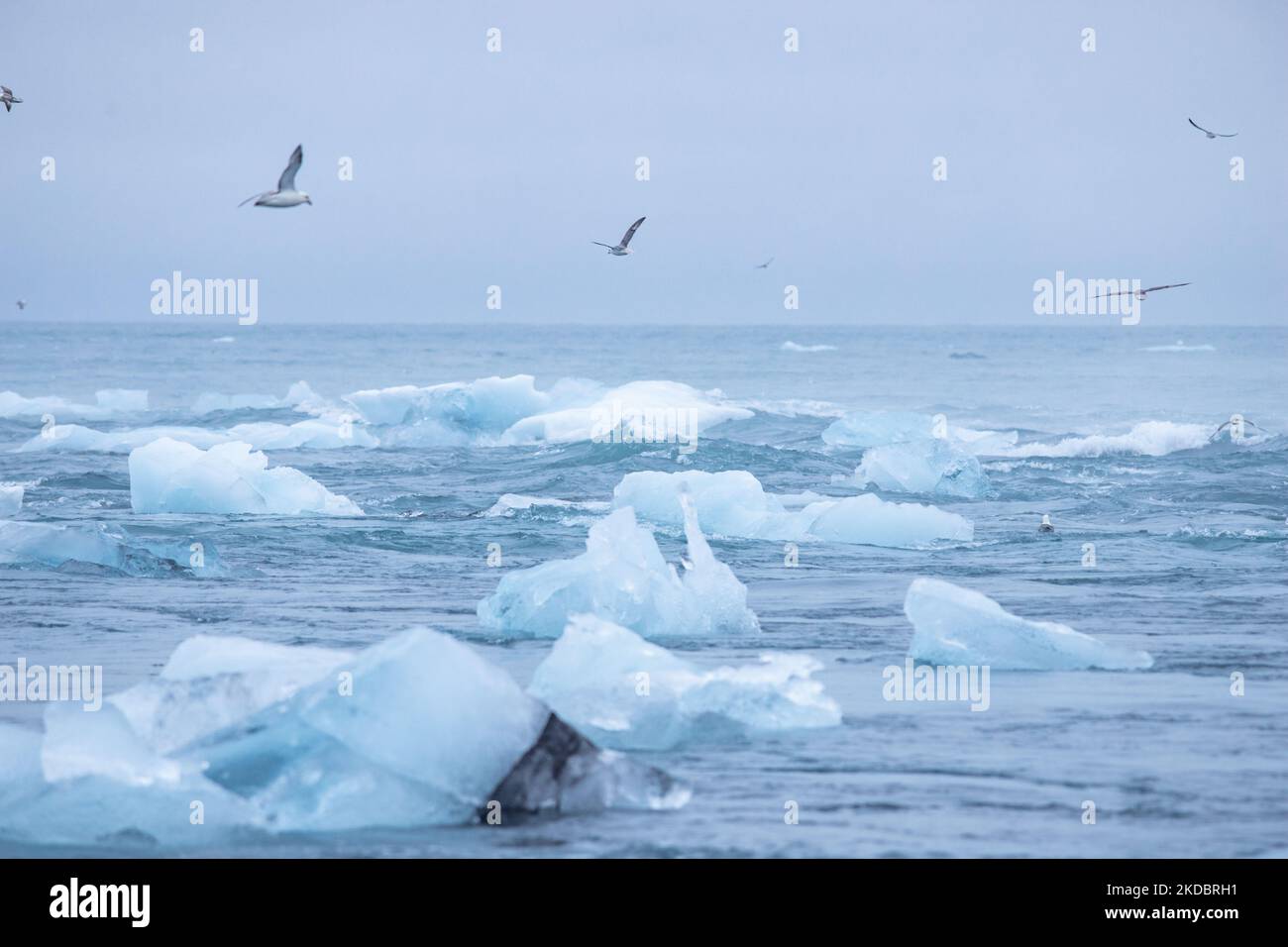 The frozen ice pieces in the sea with birds flying in the sky Stock ...