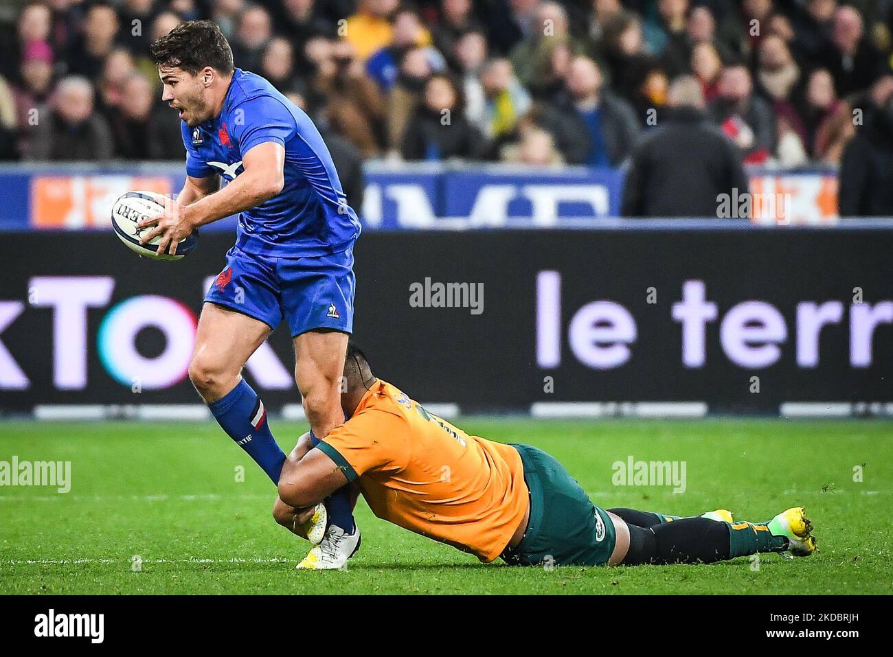 Autumn international rugby 2022 hi-res stock photography and images - Alamy