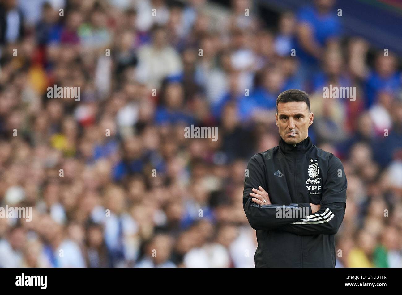 Scaloni argentina hi-res stock photography and images - Alamy