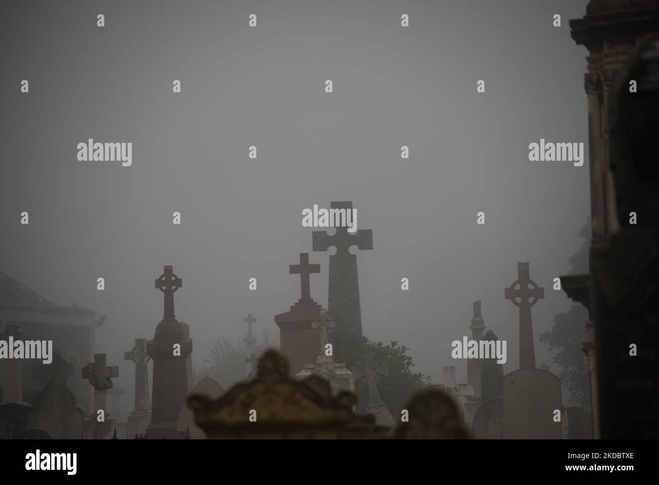 A graveyard with cross-shaped headstones with a gray, foggy background ...