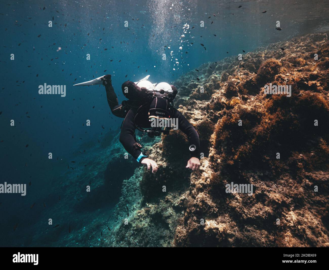 A scuba diver exploring the blue mysterious coral reef Stock Photo - Alamy