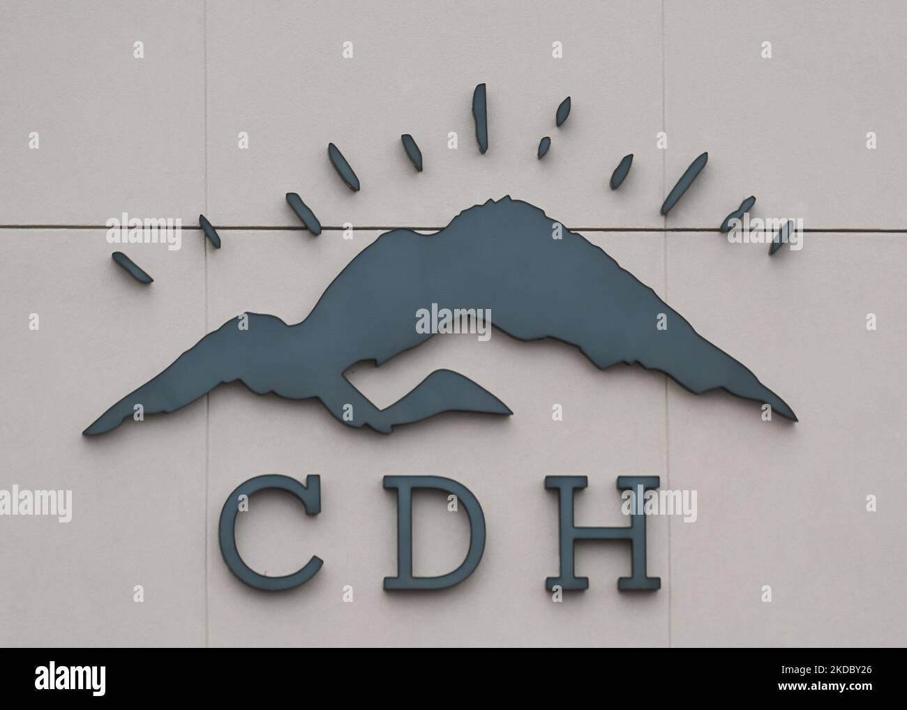 Logo of CDH - Central Discount House in South Edmonton Common. Friday ...