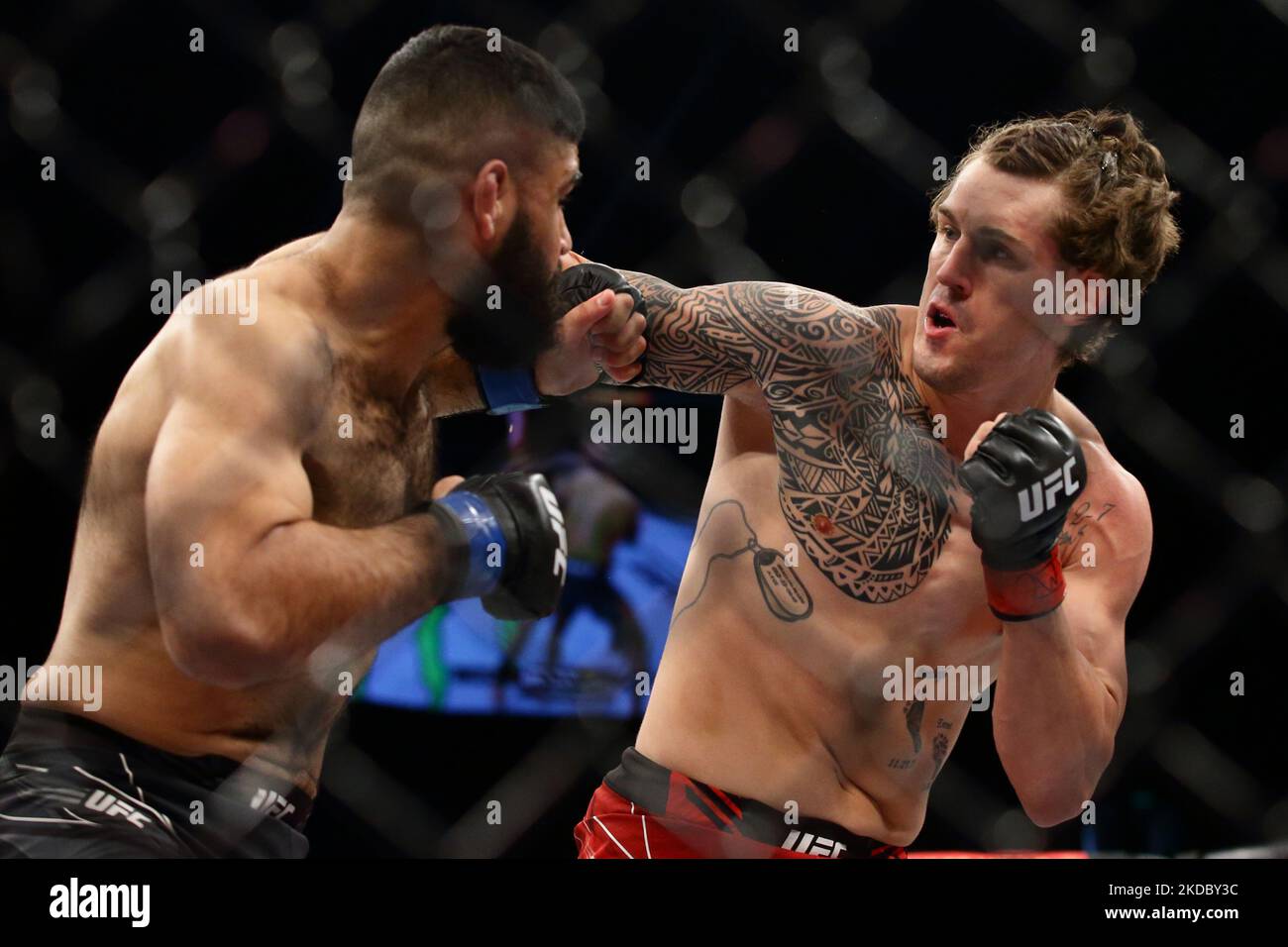 Brendan Allen of United States (R) punches Jacob Malkoun of Australia ...
