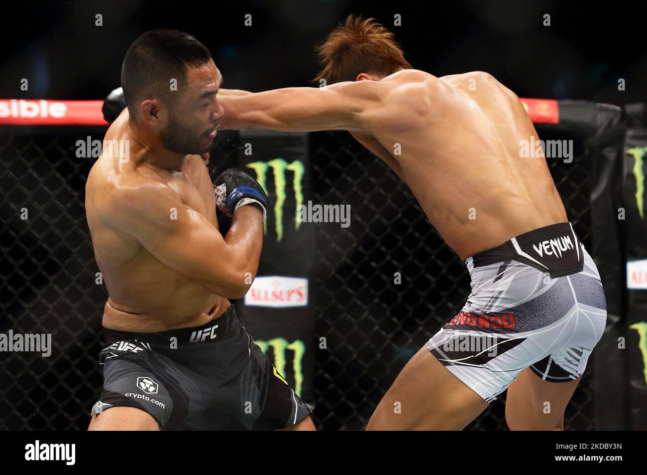 Josh Culibao of Australia (L) battles Seungwoo Choi of South Korea in ...