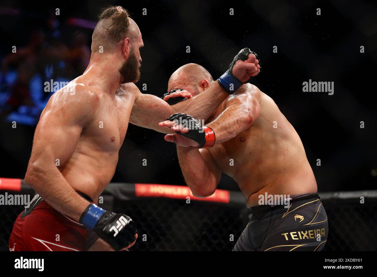 Jiri Prochazka of Czech Republic (L) battles Glover Teixeira of Brazil ...