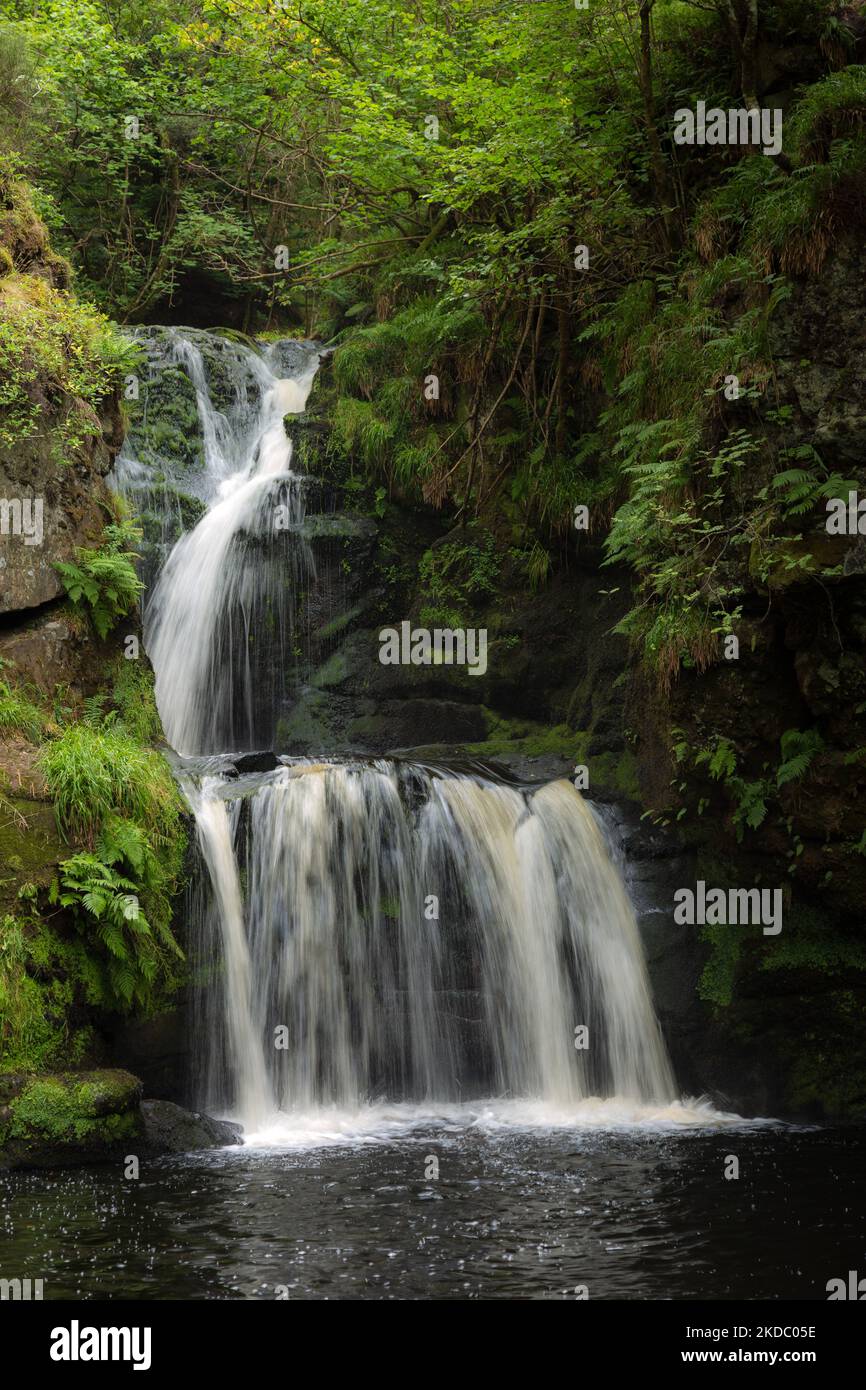 Linn falls hi-res stock photography and images - Alamy