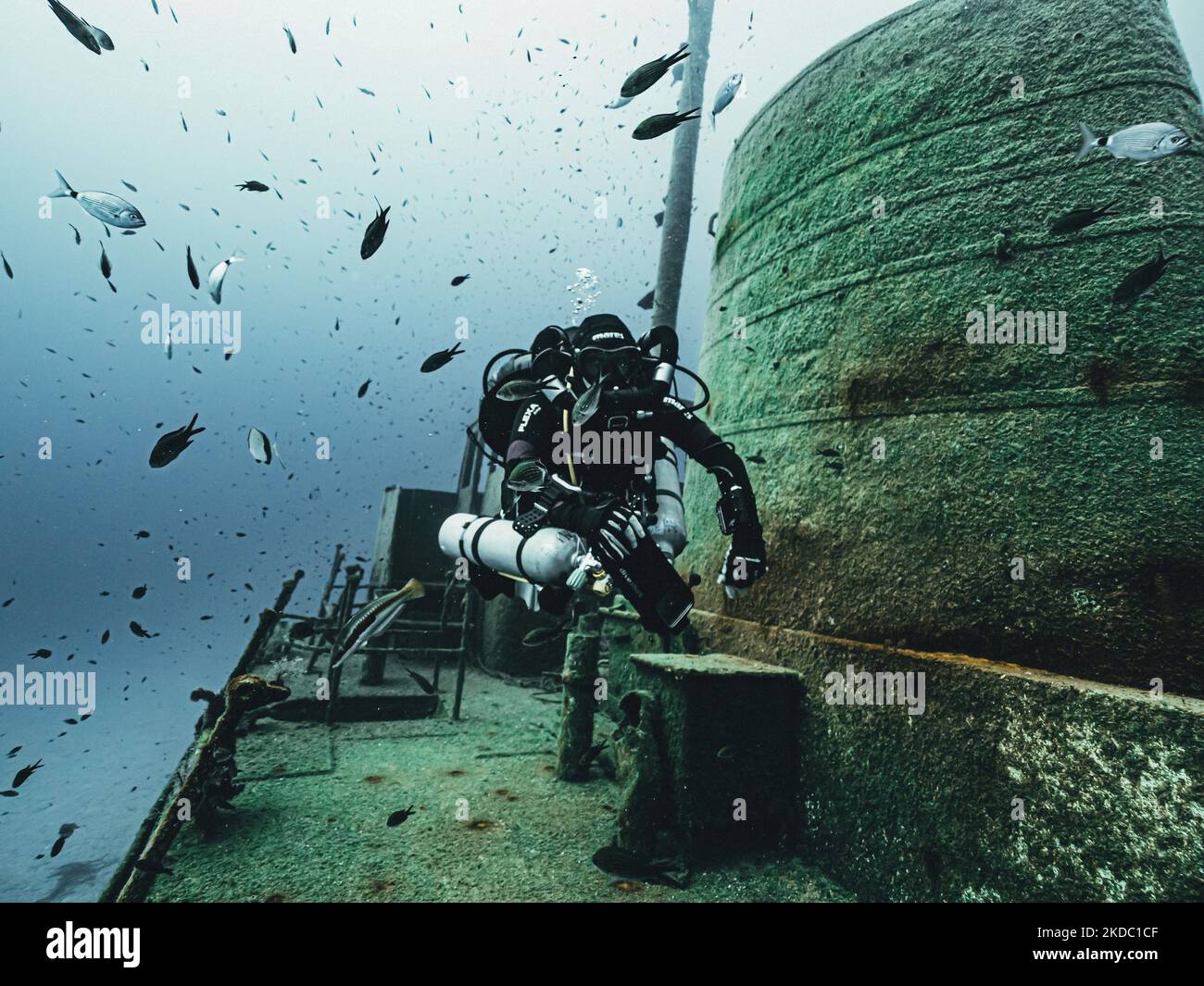 A diver exploring a shipwreck underwater Stock Photo - Alamy