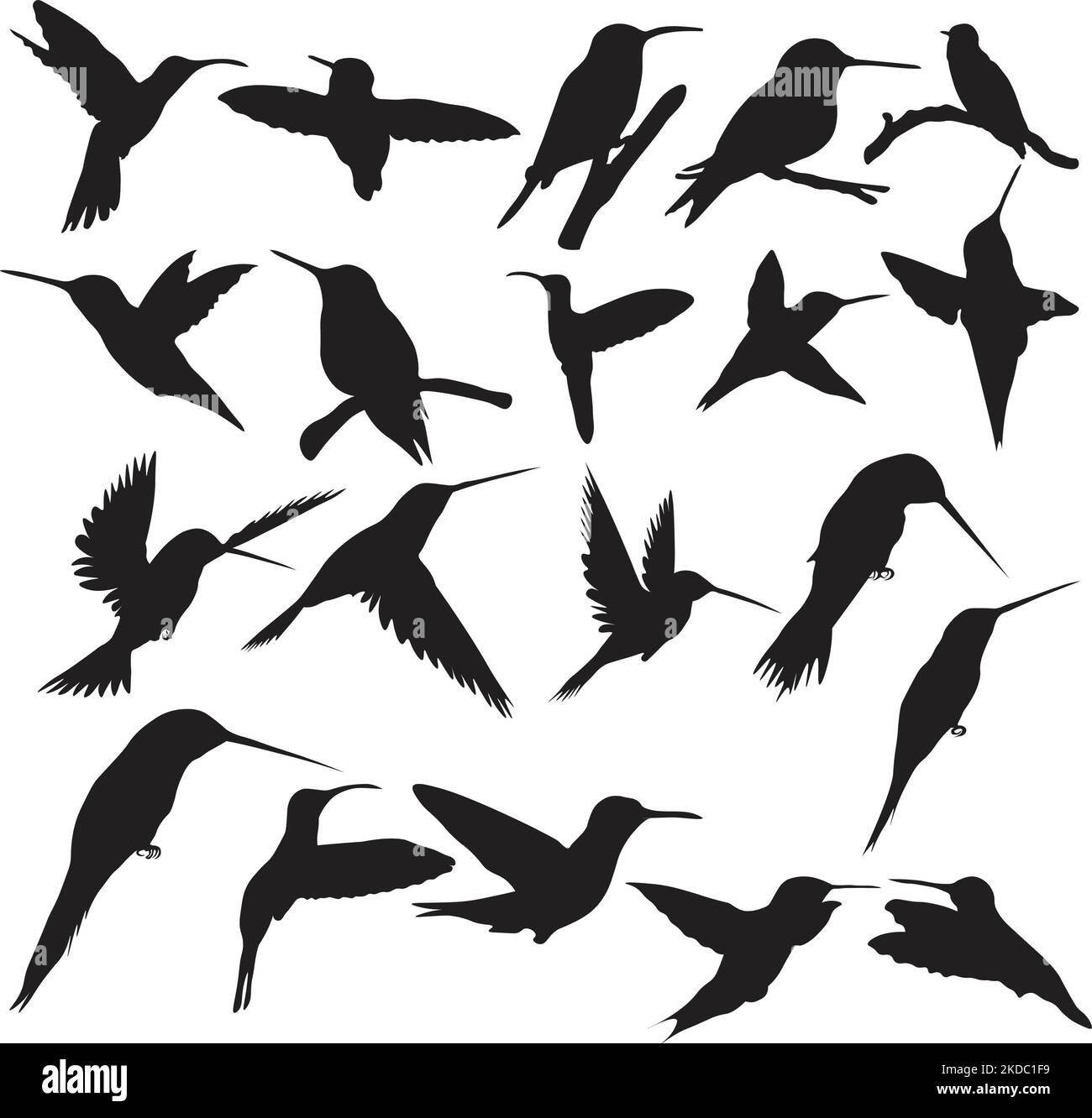 Hummingbird Silhouette Vector