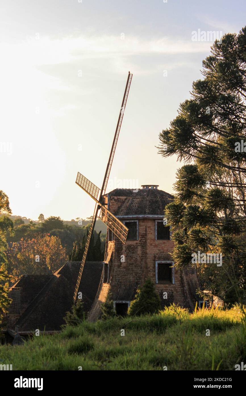 A view of a windmill surrounded with greenery and buildings in the ...