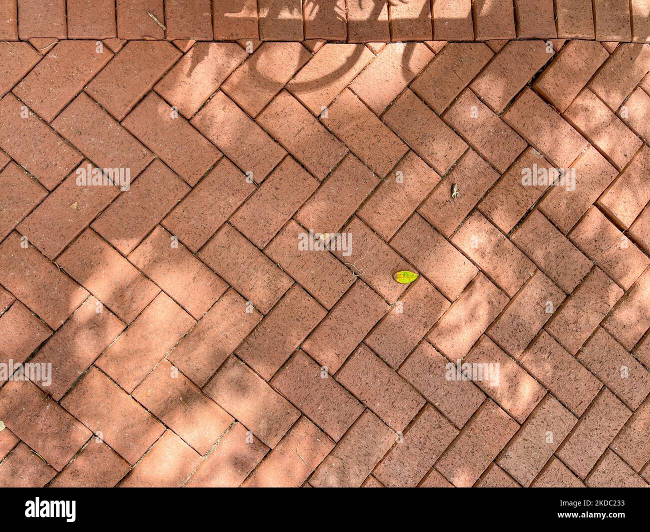 Brick paver background in a herringbone pattern with red color tones ...