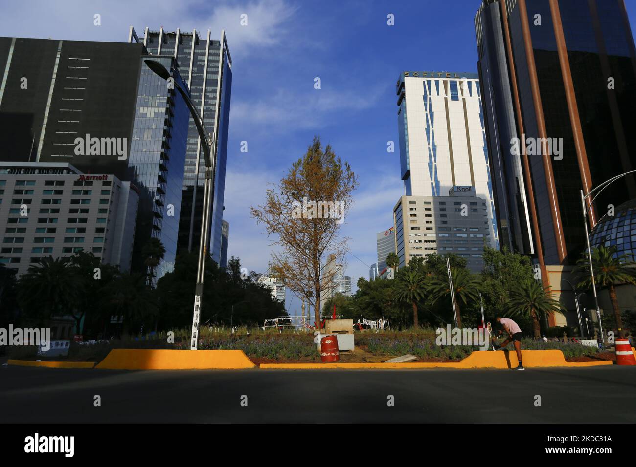 General view of Ahuehuete three in the Glorieta del Ahuehuete on June ...