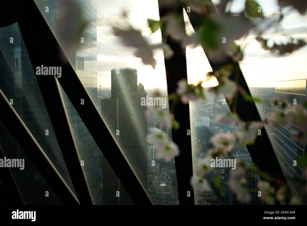 Commonly known as the gherkin hi-res stock photography and images - Alamy