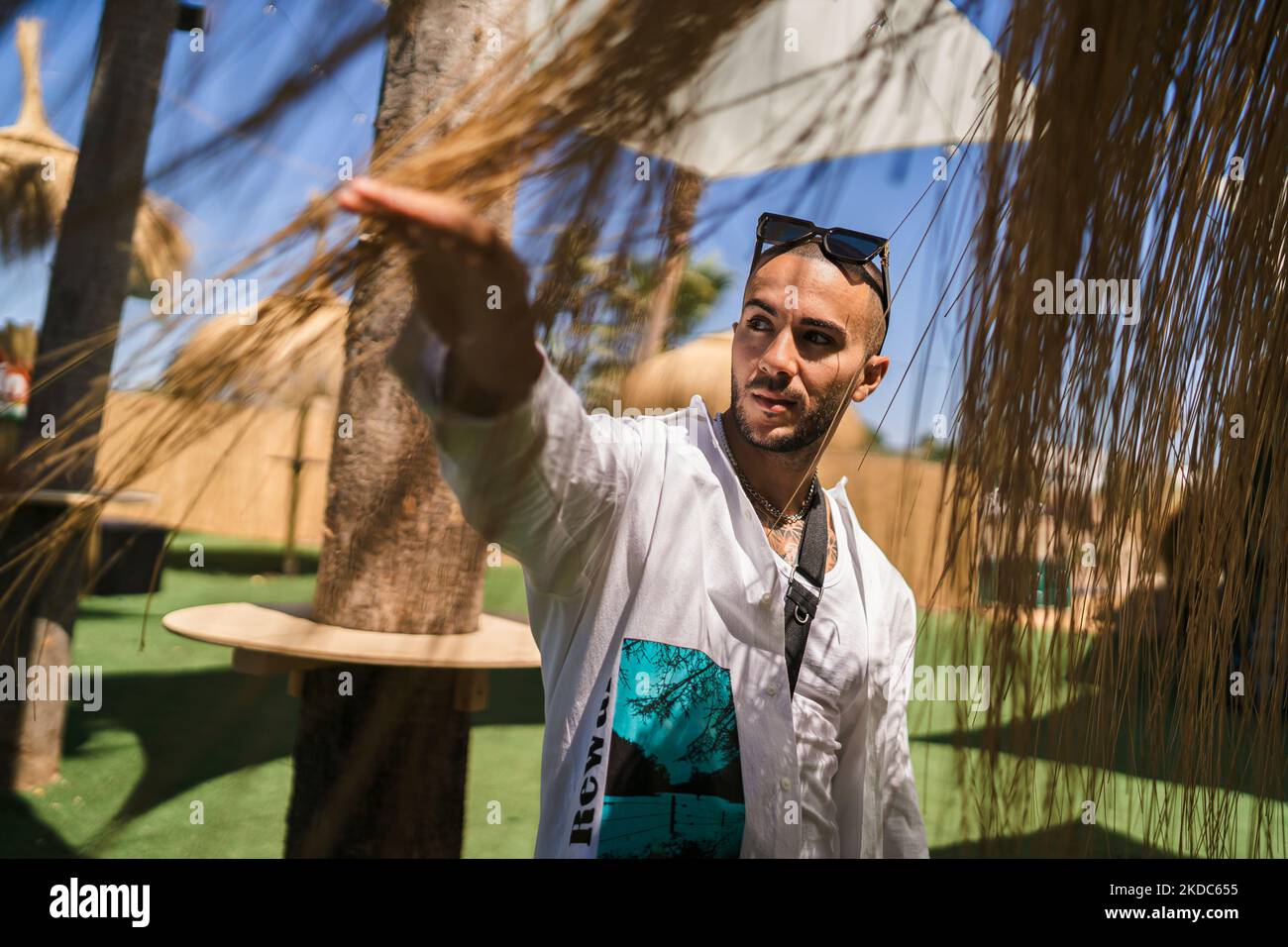 A portrait of a young man posing at the palm tree Stock Photo - Alamy