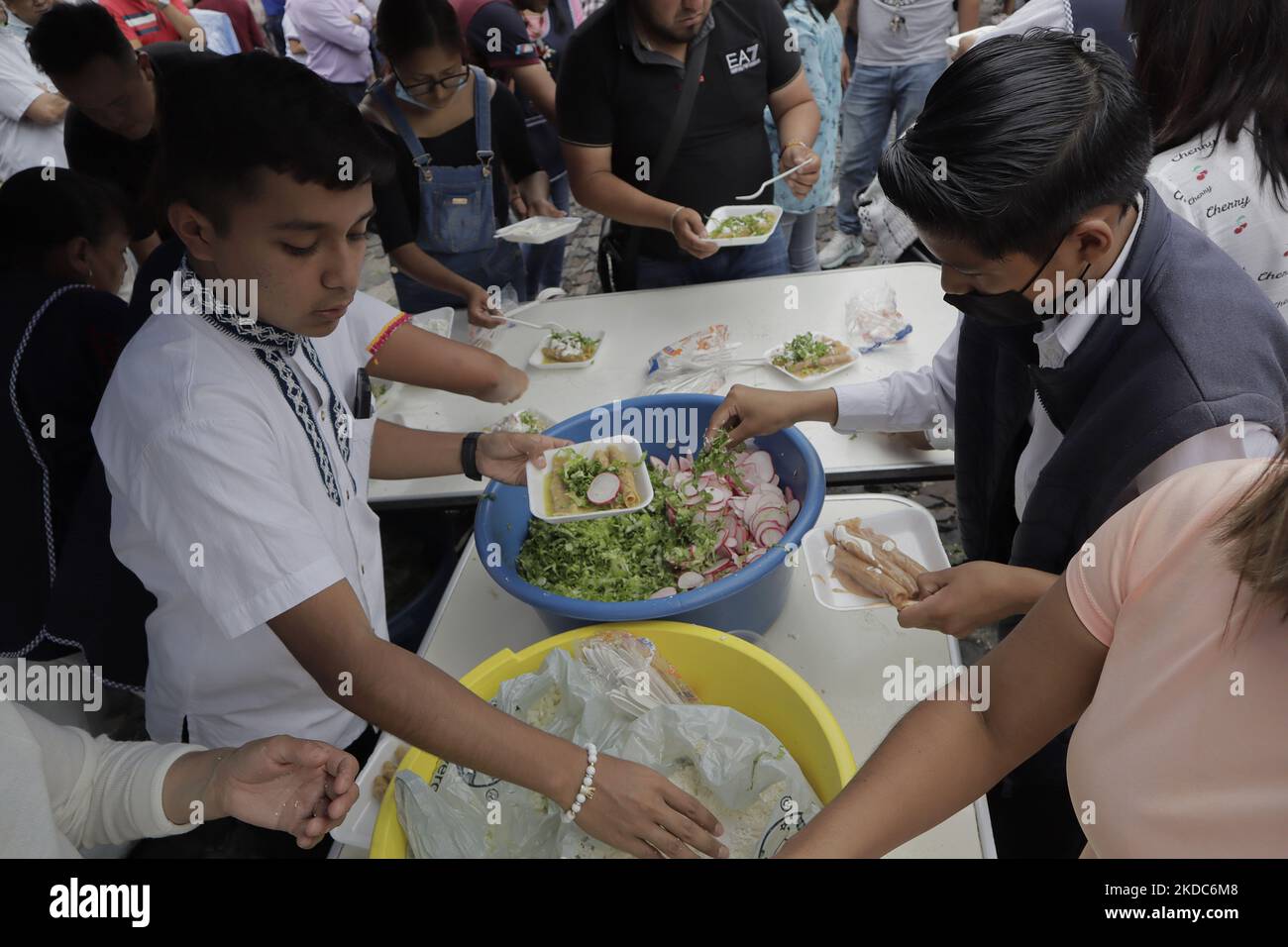 Dia de las mulas hi-res stock photography and images - Alamy