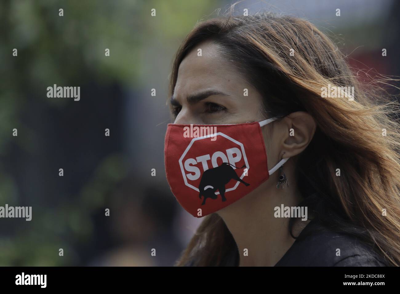 Gerardo esquivel hi-res stock photography and images - Alamy