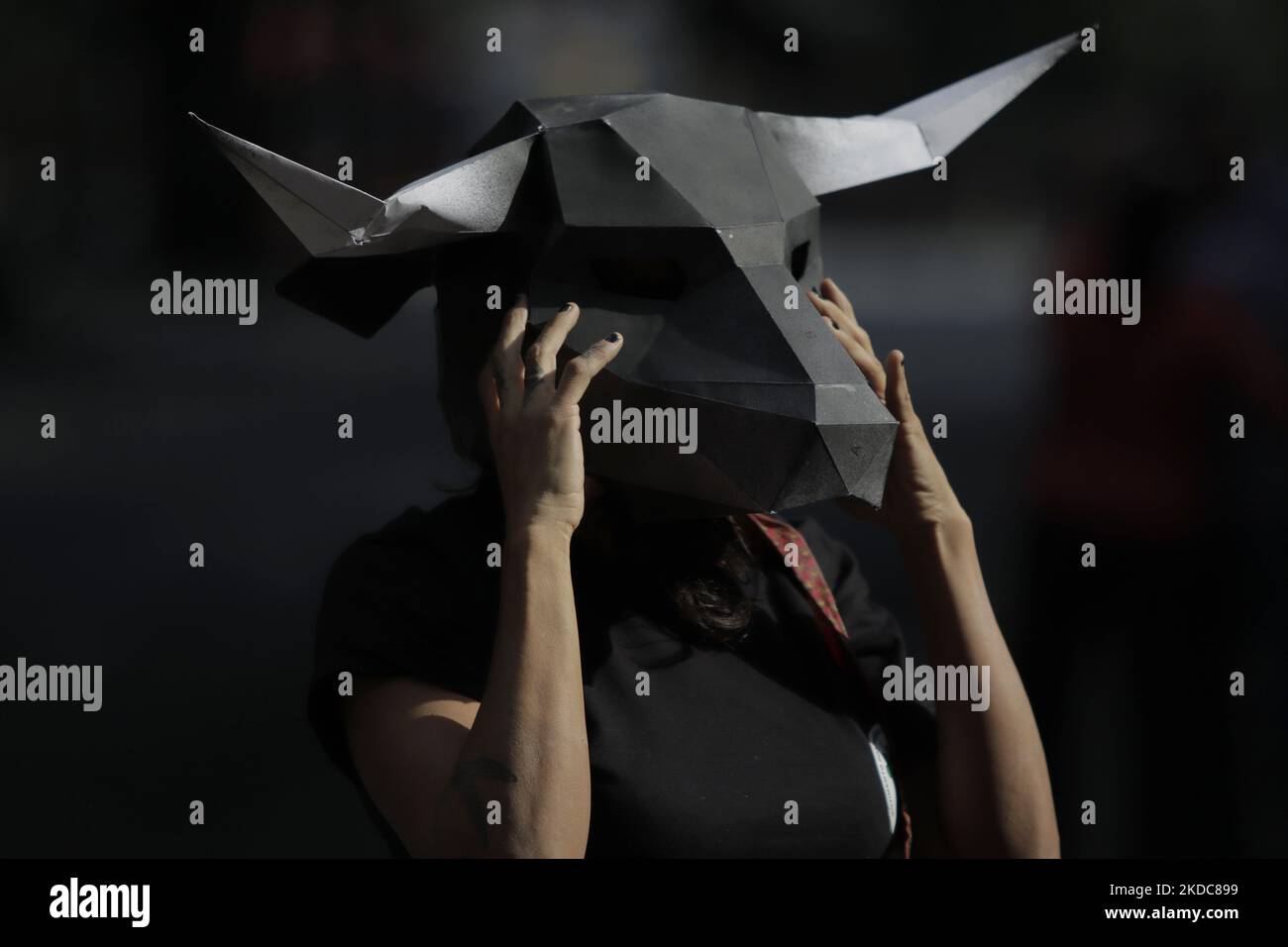 Member of a group in favor of animals, demonstrates wearing a bull mask ...