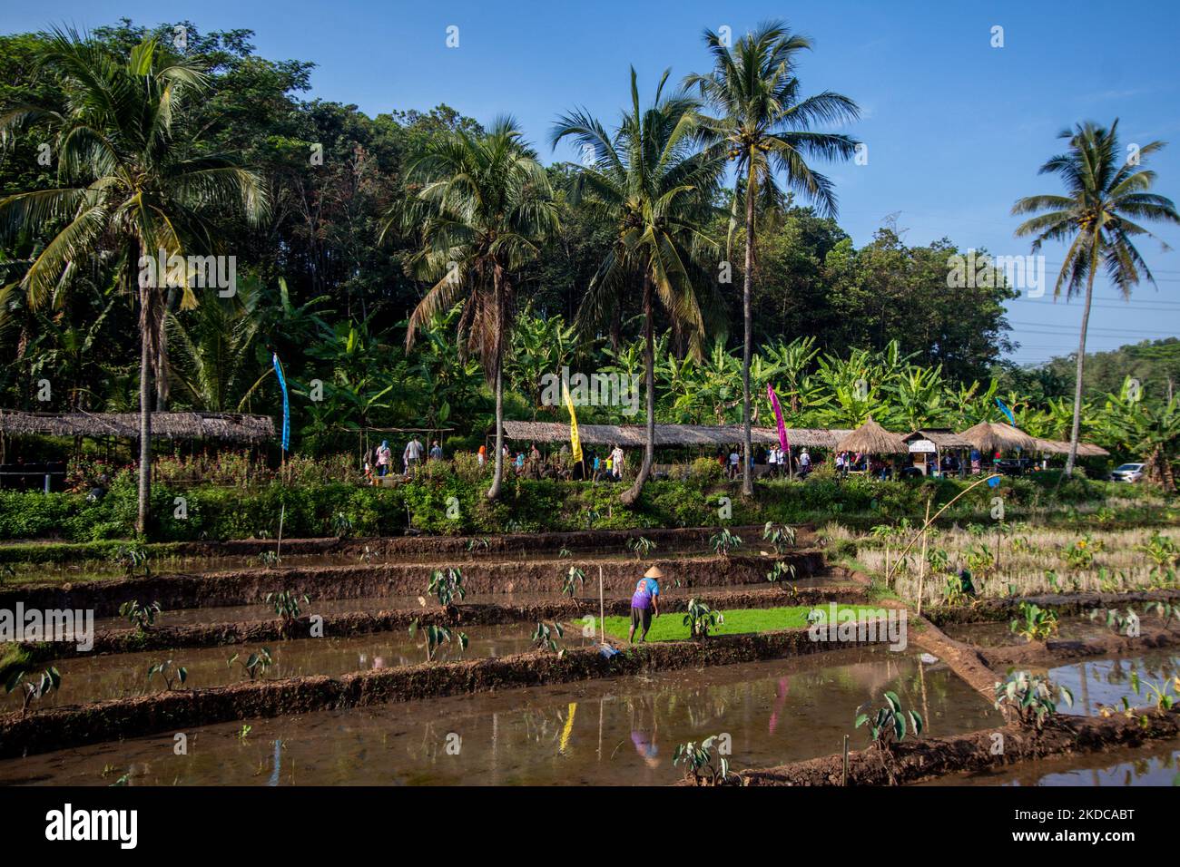 Tourists visit the Sawahan Market, a traditional snack market in ...