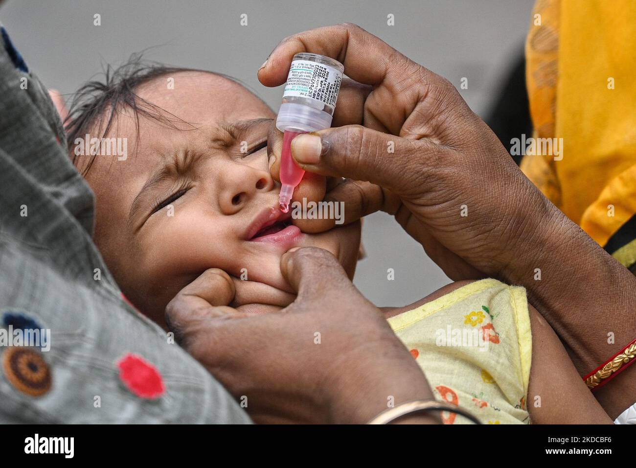 A child receives polio drops during a pulse polio immunisation ...