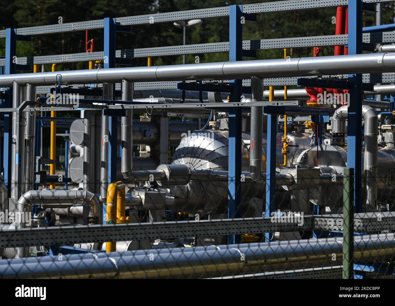 Jasionka ii hi-res stock photography and images - Alamy