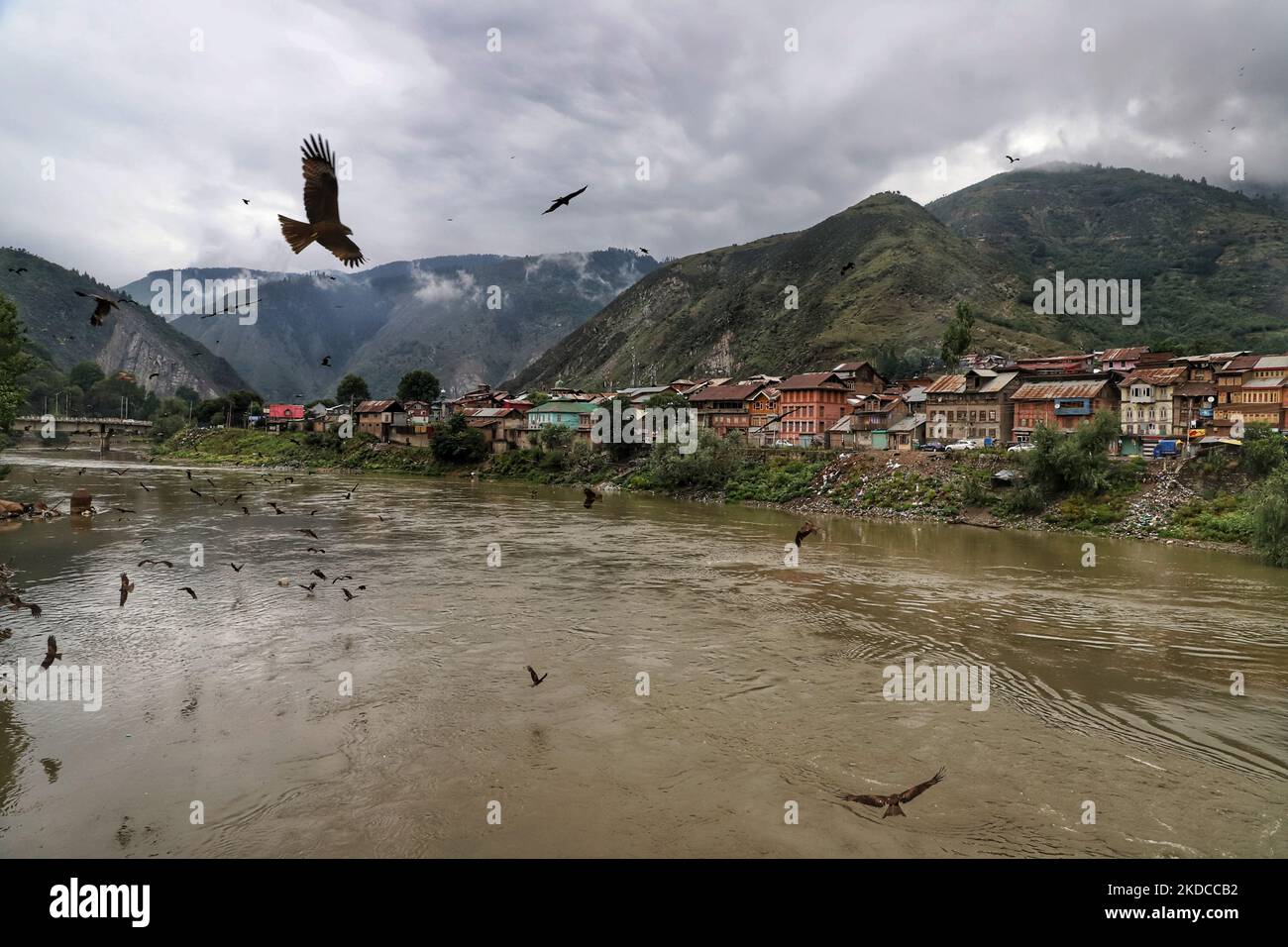 Kites fly as residential houses are seen on the banks on River Jehlum ...