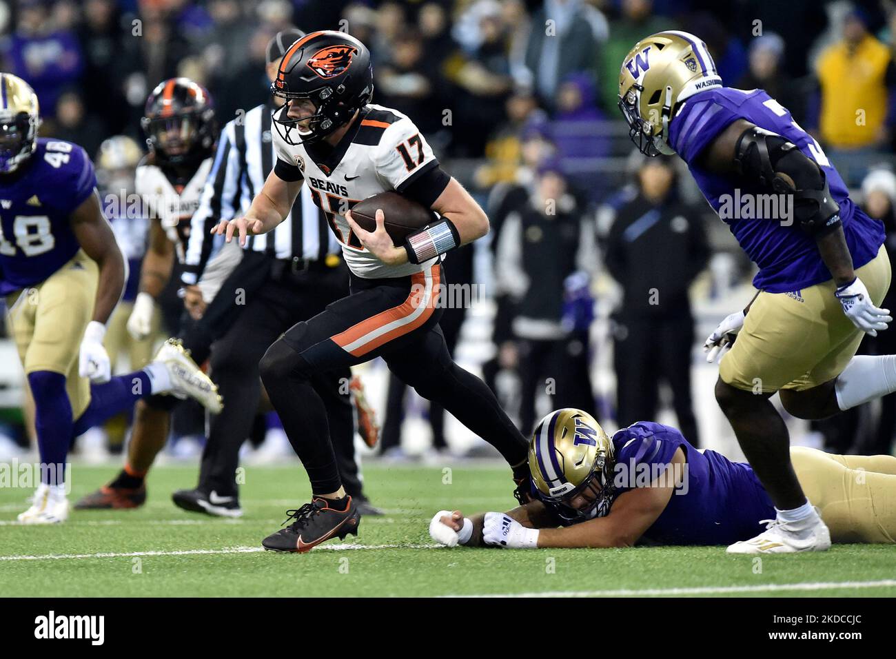 November 04, 2022: Oregon State Beavers quarterback Ben Gulbranson (17 ...