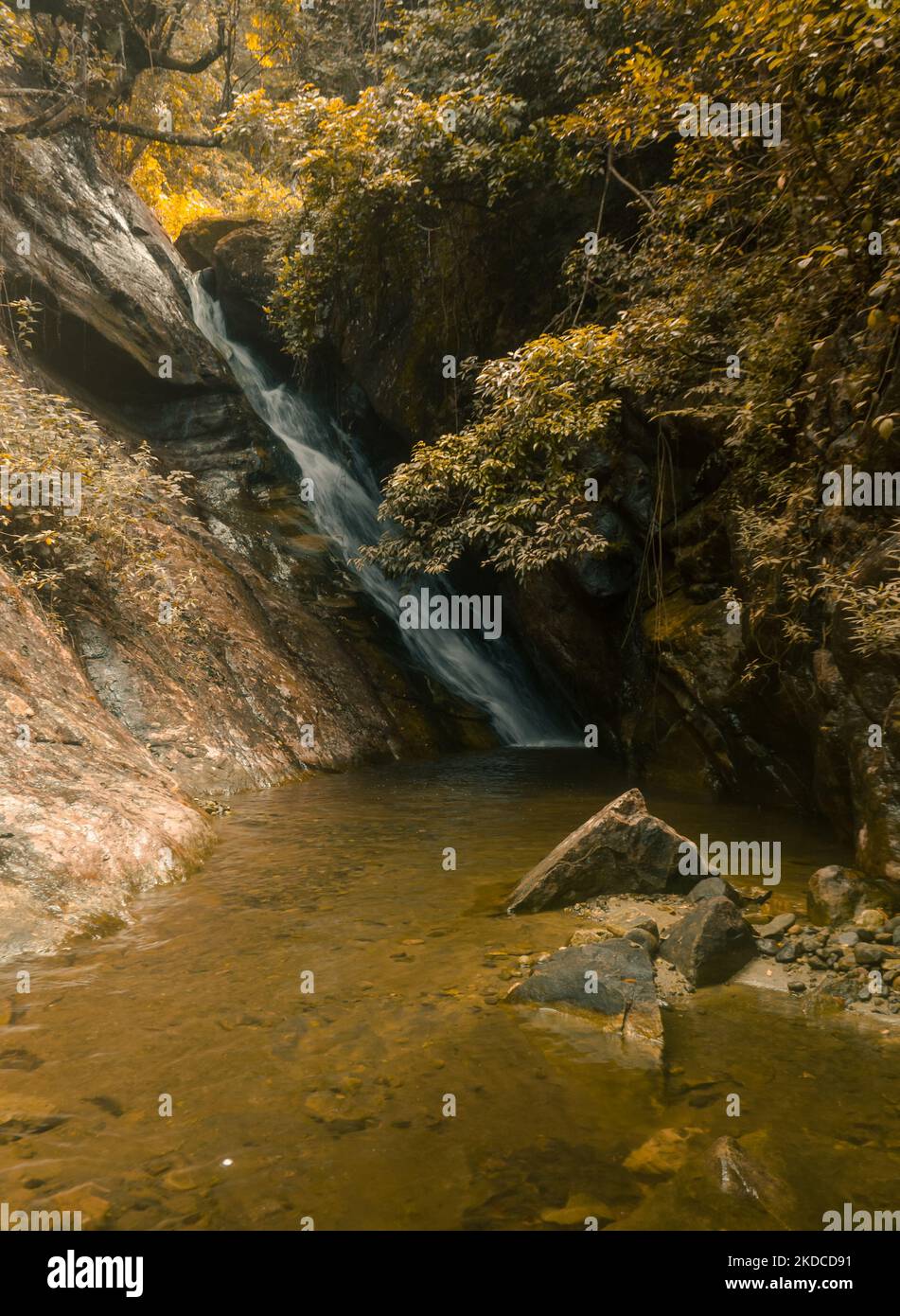 A beautiful hidden waterfall in summer surrounded with trees Stock ...