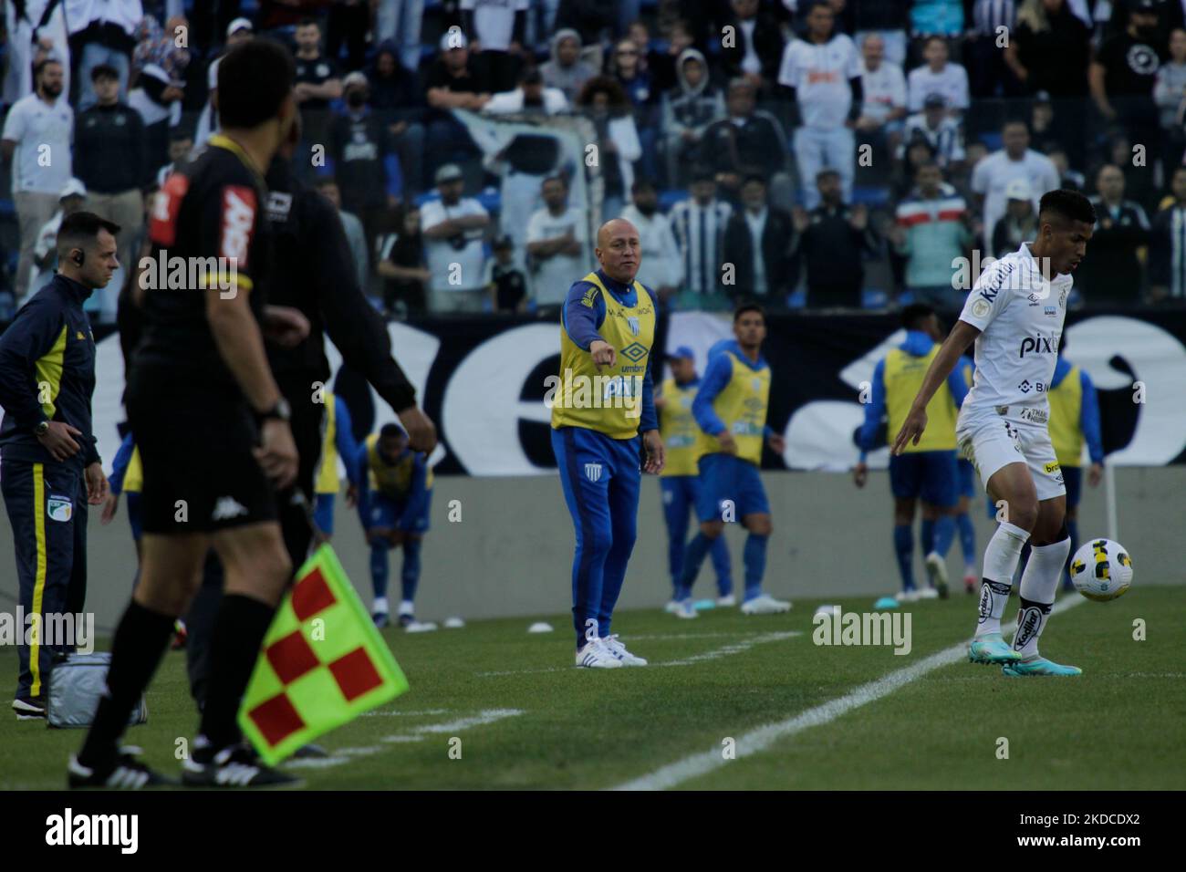 SP - Barueri - 11/05/2022 - BRAZILIAN A 2022, SANTOS X AVAI - Fabricio Bento coach of Avai ...