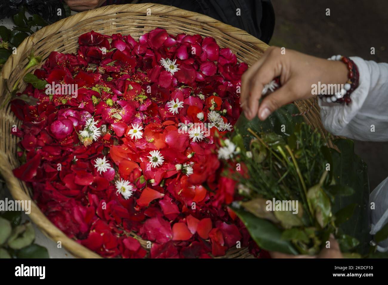 A Pipil indigenous community woman prepares flowers for an altar during ...
