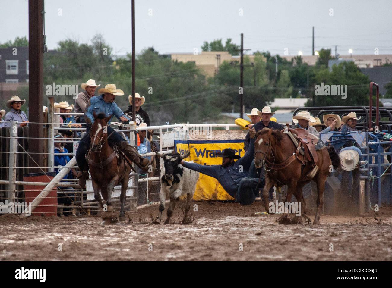 The four-day Rodeo de Santa Fe opened this evening, Wednesday, 22 June ...