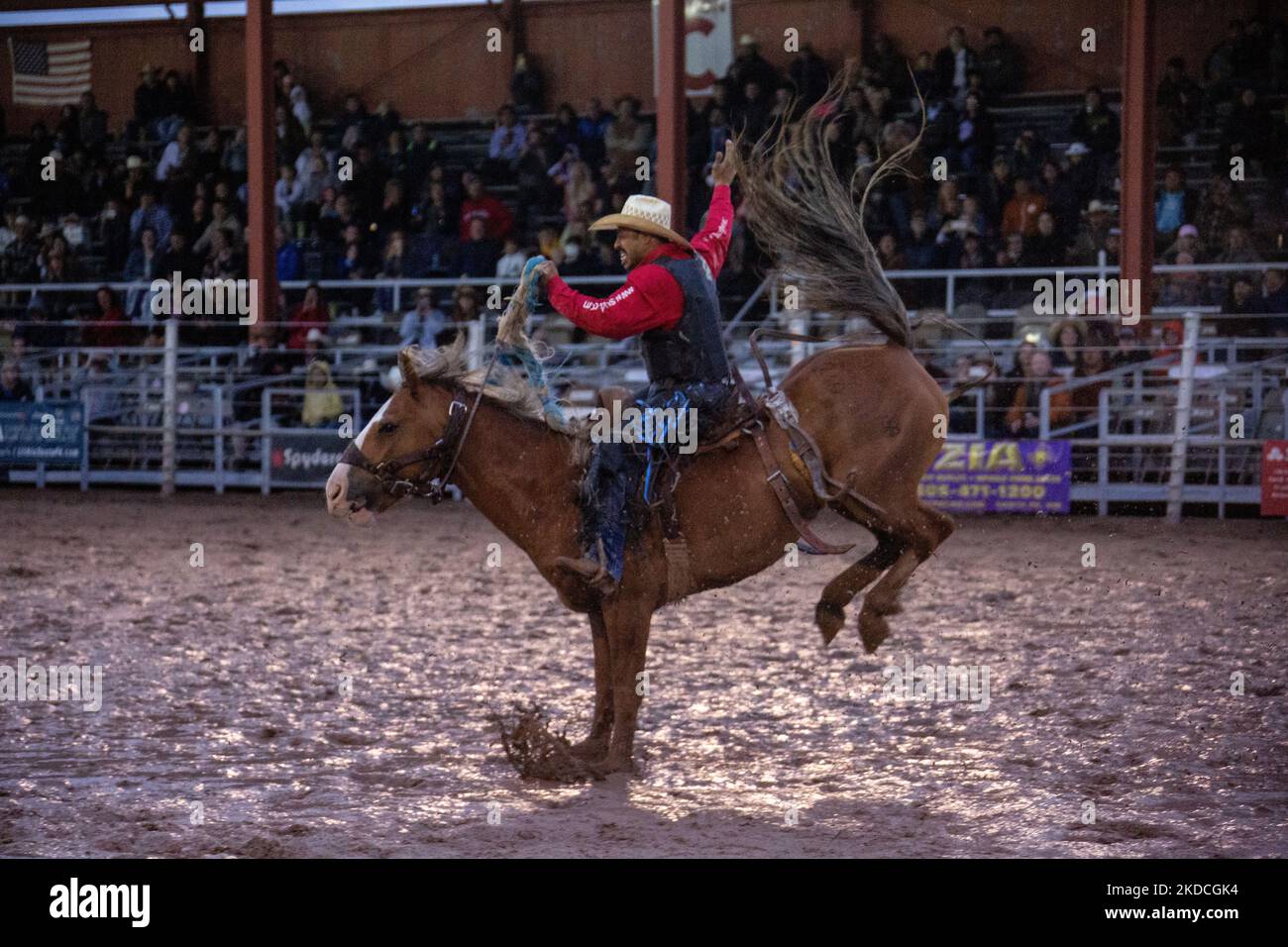 The four-day Rodeo de Santa Fe opened this evening, Wednesday, 22 June ...