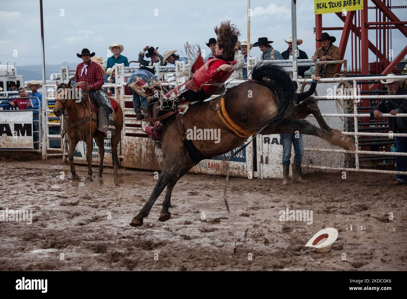 Top 60 professional rodeo cowboy association rodeos hi-res stock ...